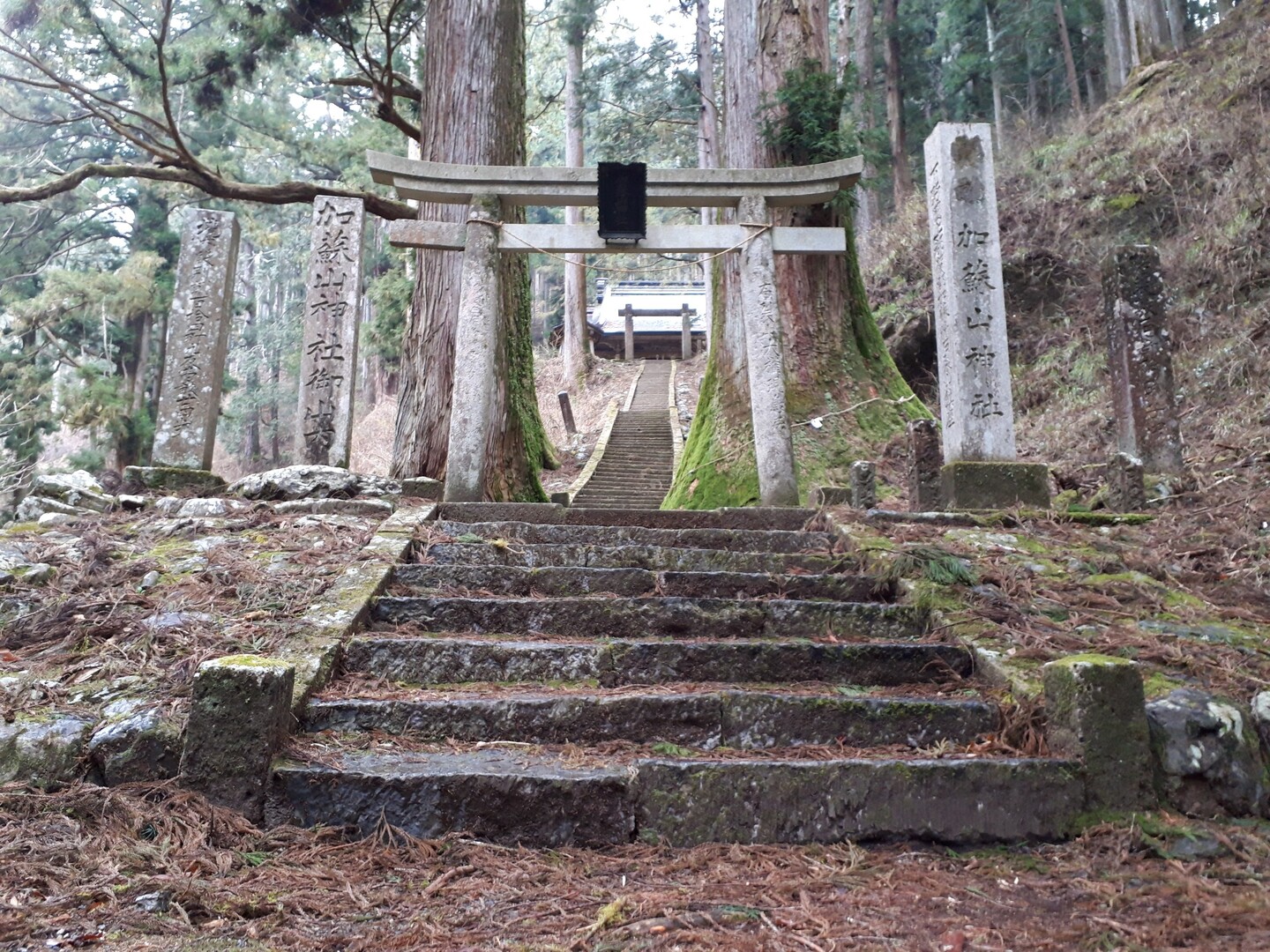 石裂山-2020-03-08 / kawanobuさんの石裂山の活動データ | YAMAP / ヤマップ