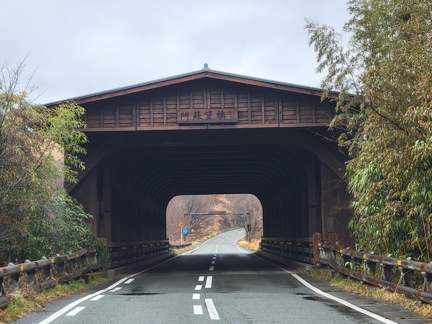 第2回巨木巡り（小国編） 生憎の天気☔で... / ヤマしんSP🌾さんのモーメント | YAMAP / ヤマップ