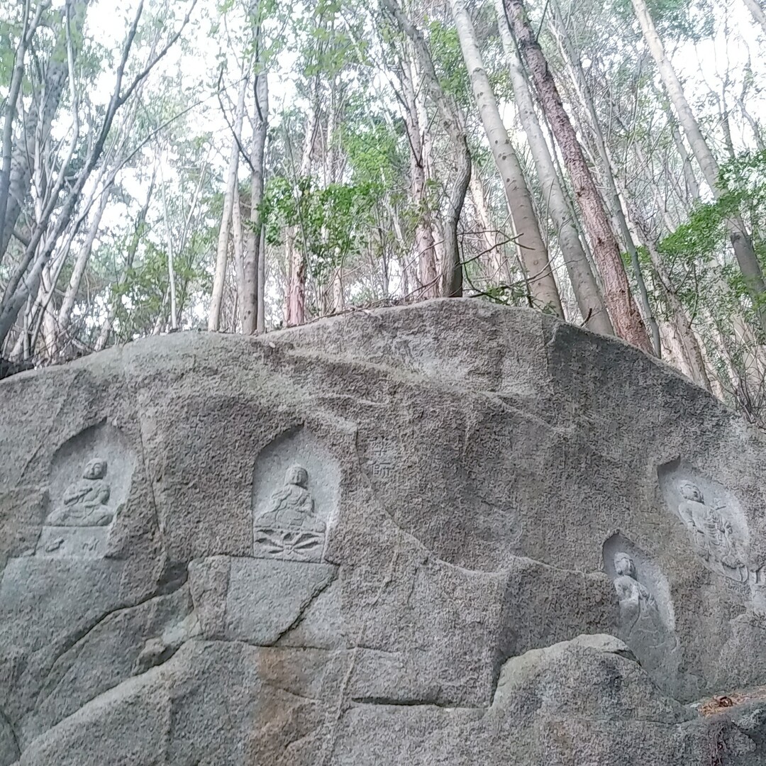 観音岳 / shigeyoさんの湯野観音岳の活動データ | YAMAP / ヤマップ