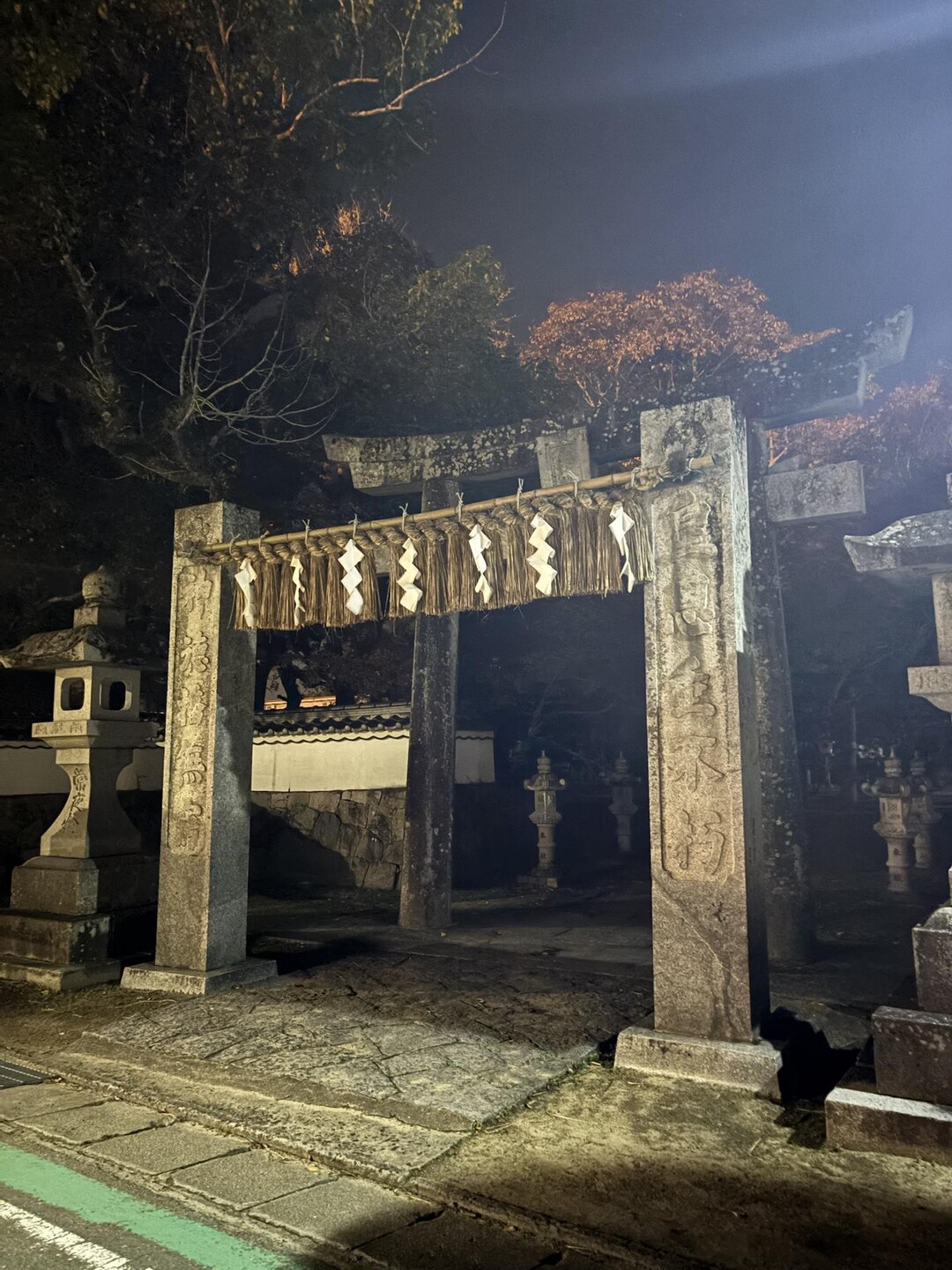 2024.12.03(火) 10:40 / Tomocoさんのモーメント | YAMAP / ヤマップ