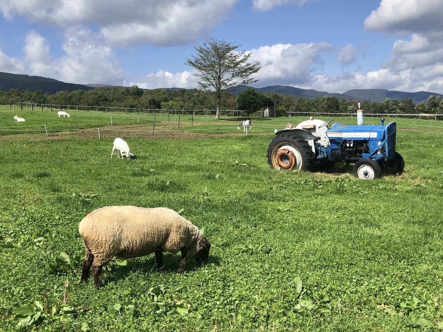 秋の蔵王山麓『狐ヶ森–ハートランド』 / carolさんの蔵王山・雁戸山・不忘山の活動データ | YAMAP / ヤマップ