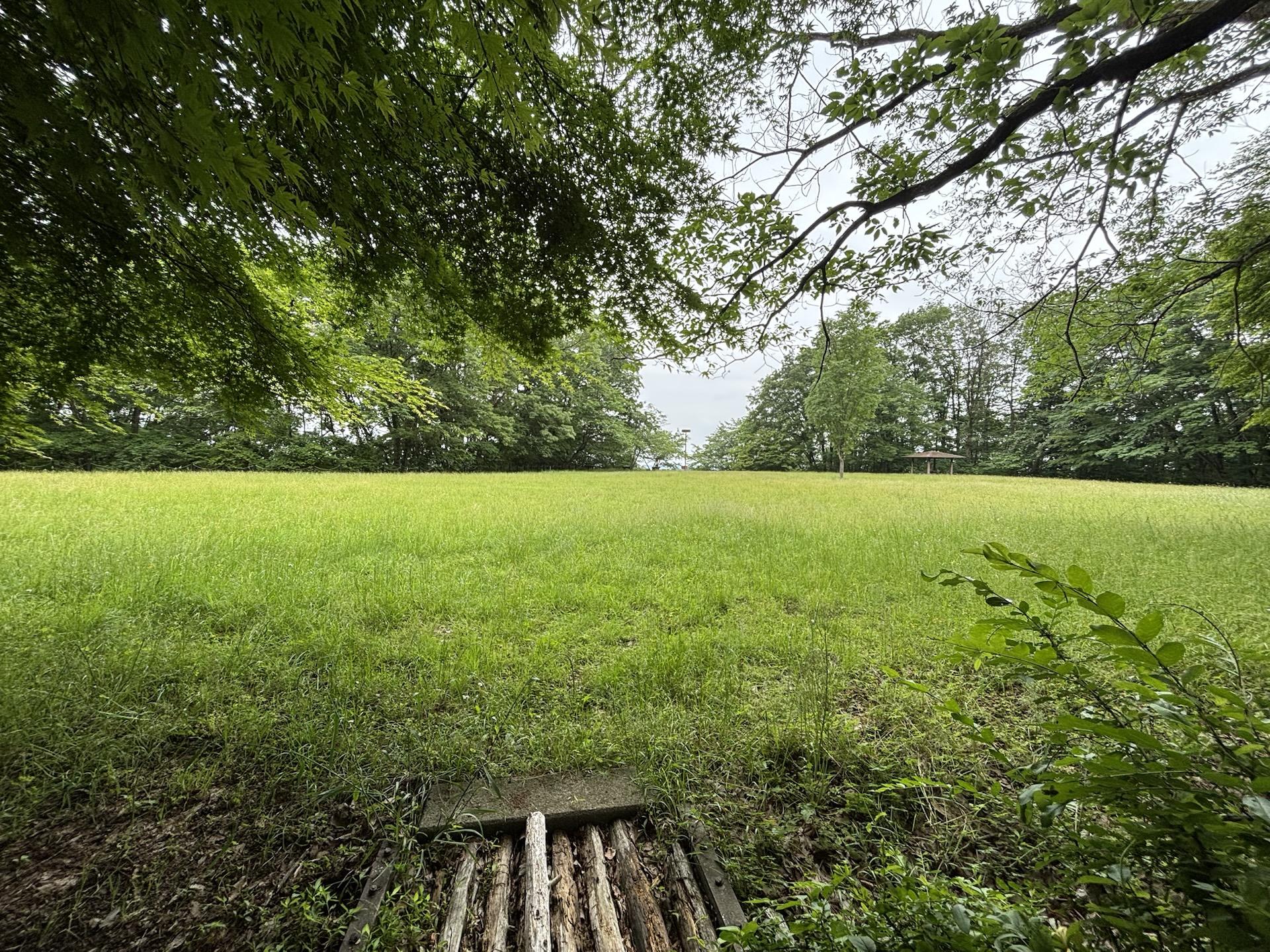 飯能アルプスPart2 多峯主山・大黒山・久須美山・天覚山 / yuriさんの天覧山・多峯主山・天覚山の活動データ | YAMAP / ヤマップ