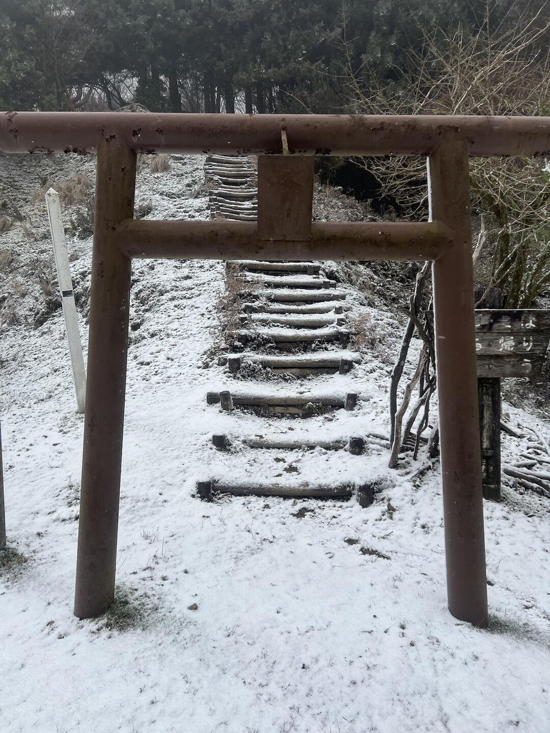 霧氷 ️と爆風の高見山 / chibiさんの高見山・黒石山・天狗山の活動データ | YAMAP / ヤマップ