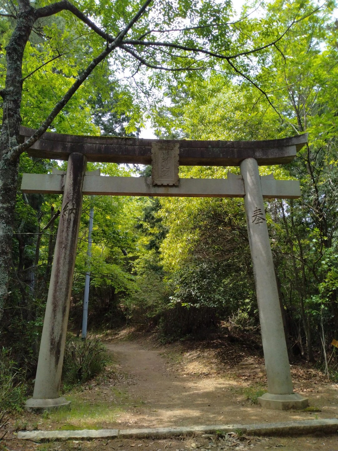 一本松 / バーダック🐉（ALSOK😅）さんの国見山の活動データ | YAMAP / ヤマップ