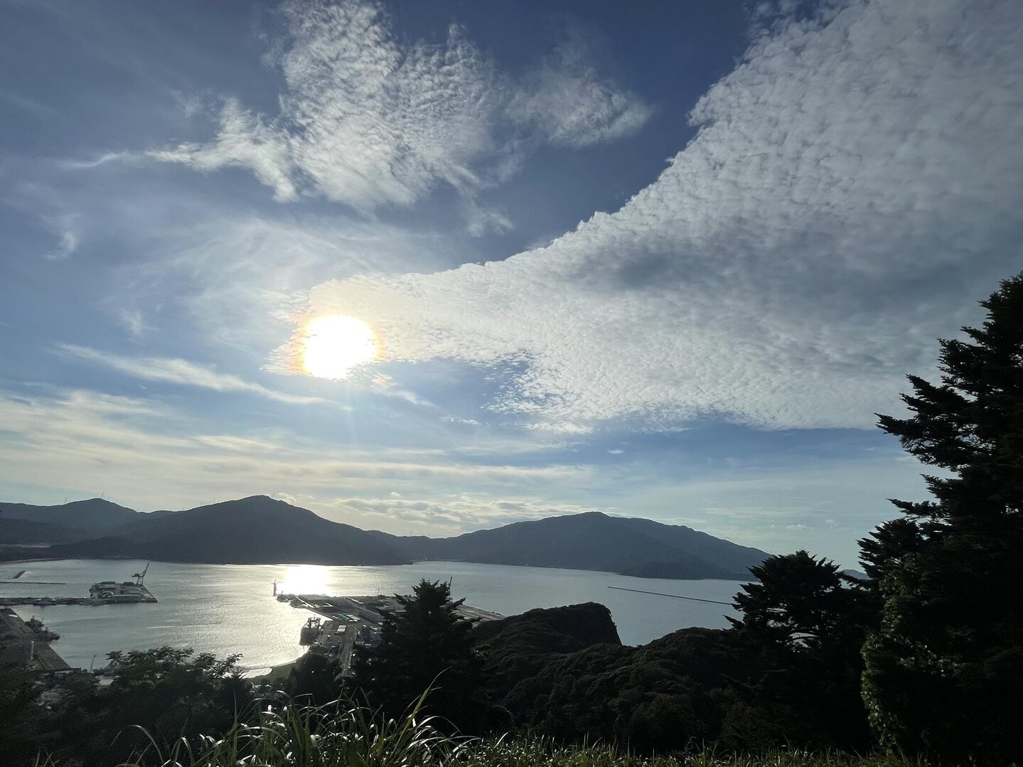 今日も暑いヨ🥵🫠 天筒山 / miniさんの天筒山・中池見湿地の活動データ | YAMAP / ヤマップ