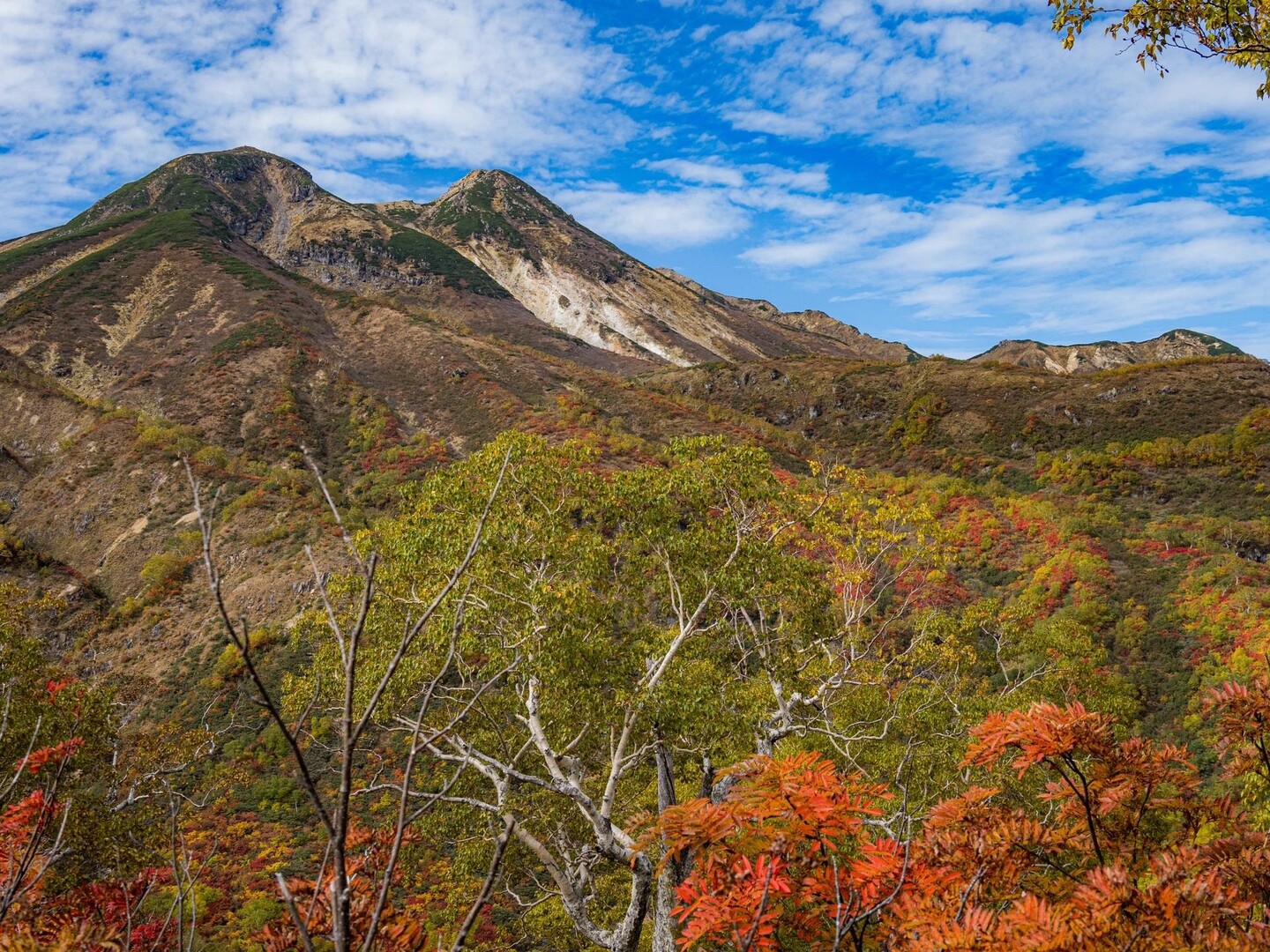 白山（御前峰） / k-sukeさんの白山・別山・銚子ヶ峰の活動データ | YAMAP / ヤマップ