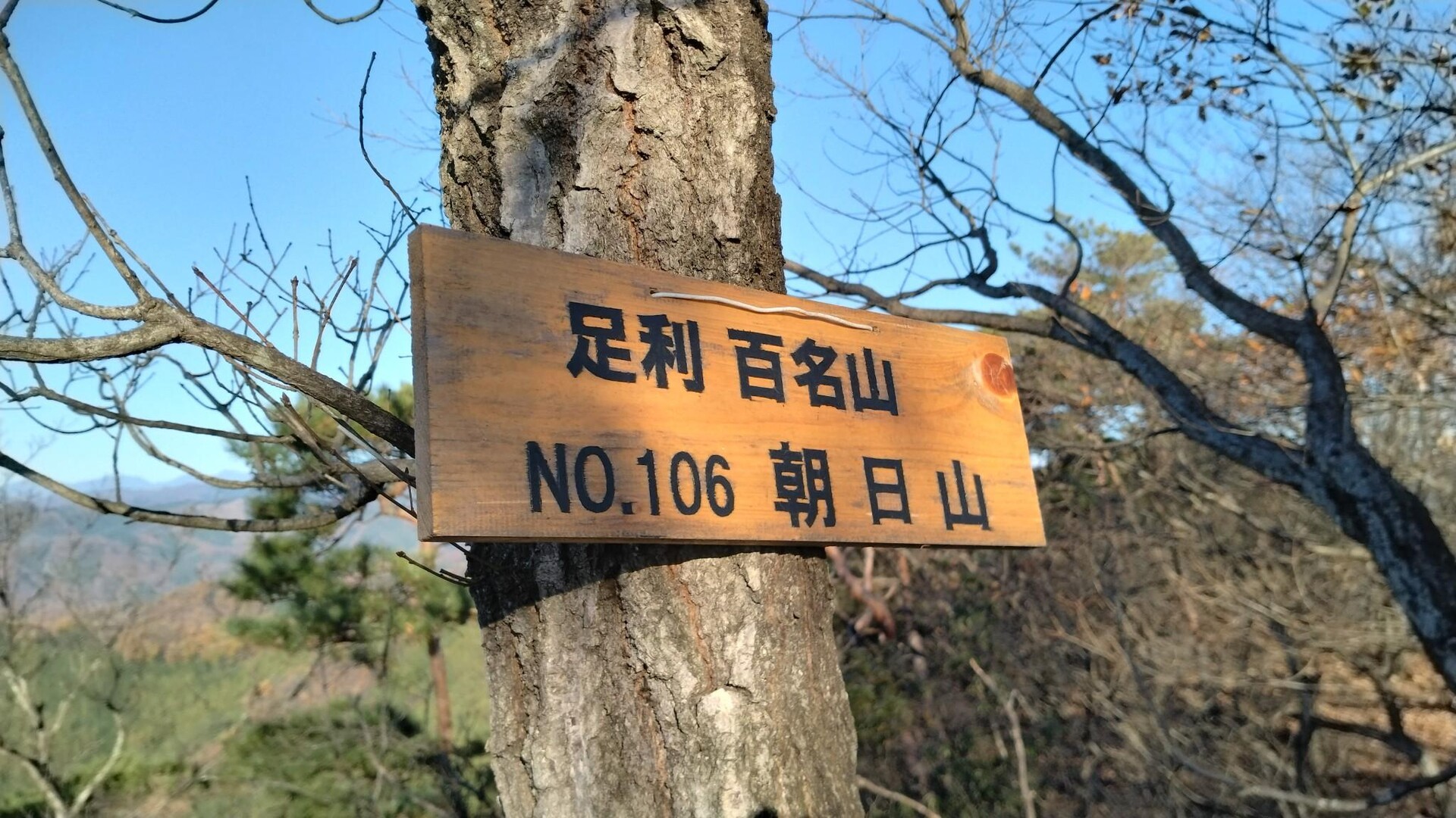 雷電山・鳩の峰・富士見山・藤平山・朝日山 / type52さんの鳩ノ峰・山王山・寺久保山の活動データ | YAMAP / ヤマップ