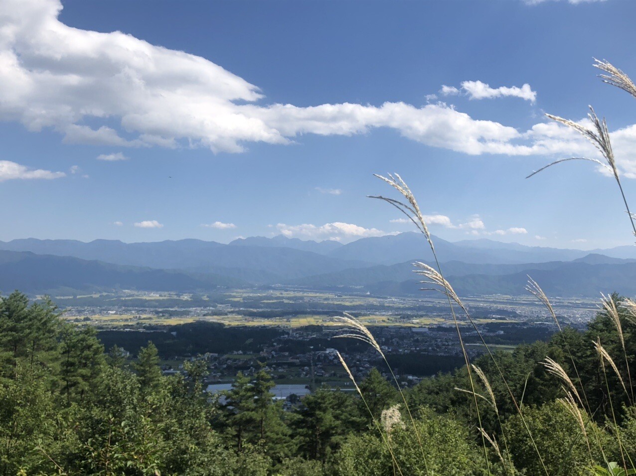 地方の新聞で紹介されていた中仙寺周辺の散... / mさんのモーメント | YAMAP / ヤマップ