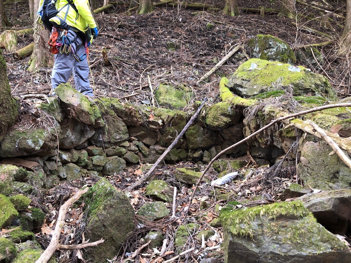 KARINAさんの投稿したフィールドメモ | YAMAP / ヤマップ