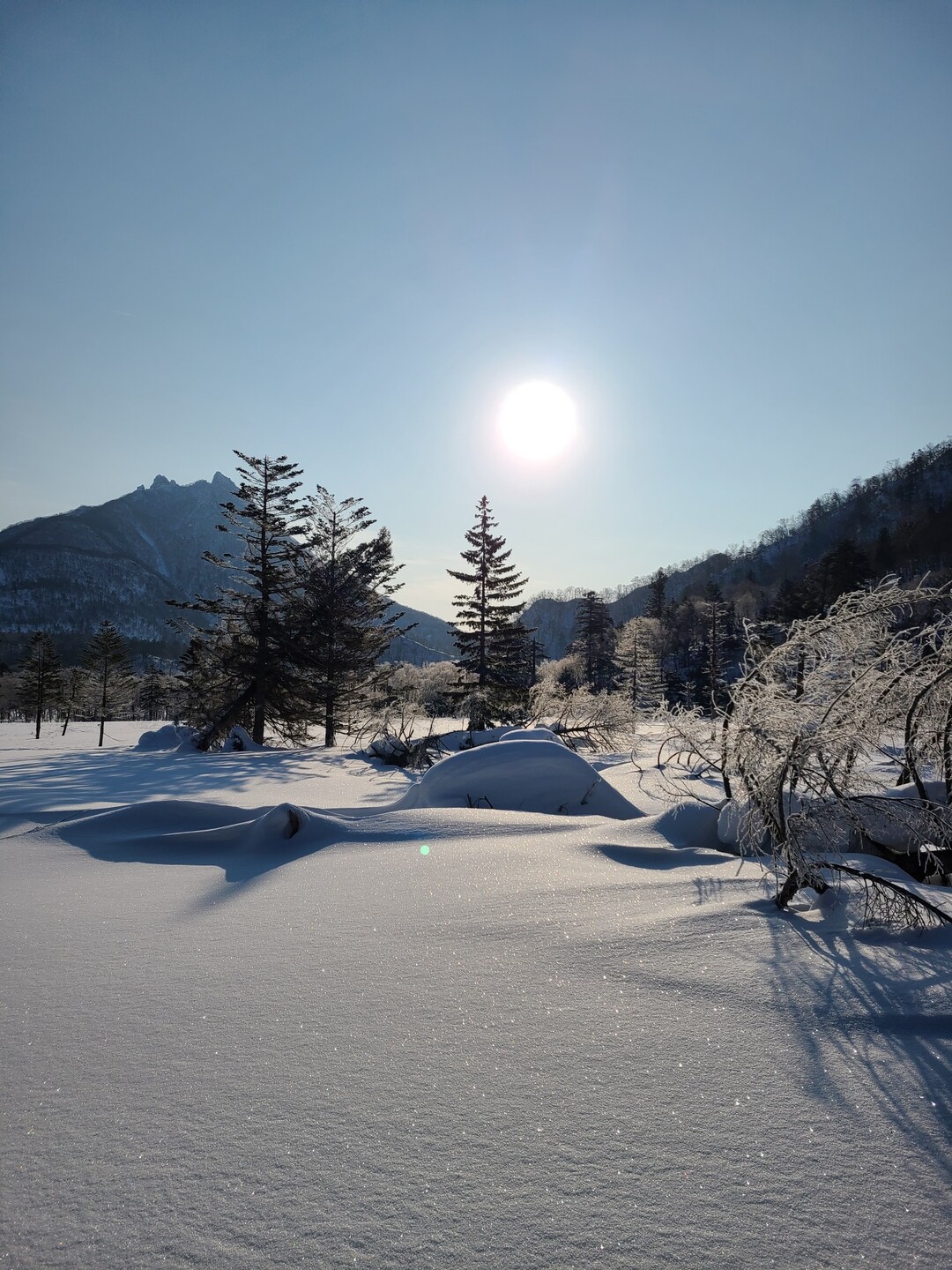 振丁・小漁山・漁岳 / Mr.Masaさんの漁岳の活動データ | YAMAP / ヤマップ