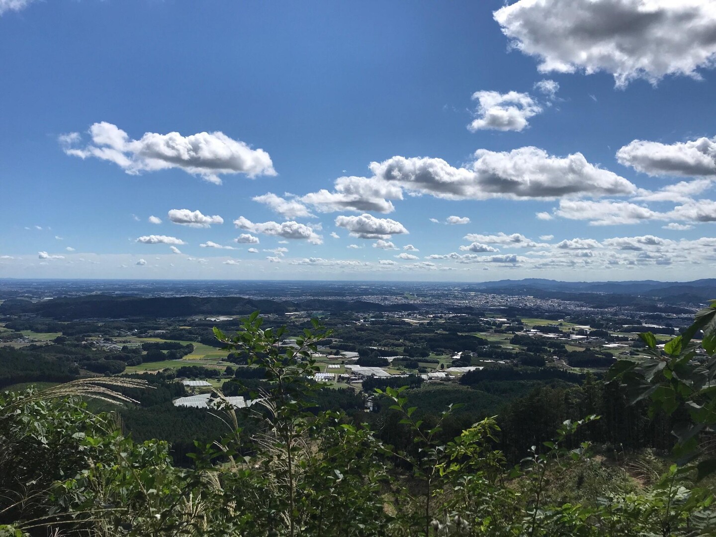斑根石山・古賀志山 / midoriさんの古賀志山・赤岩山・鞍掛山・男抱山・半蔵山の活動データ | YAMAP / ヤマップ