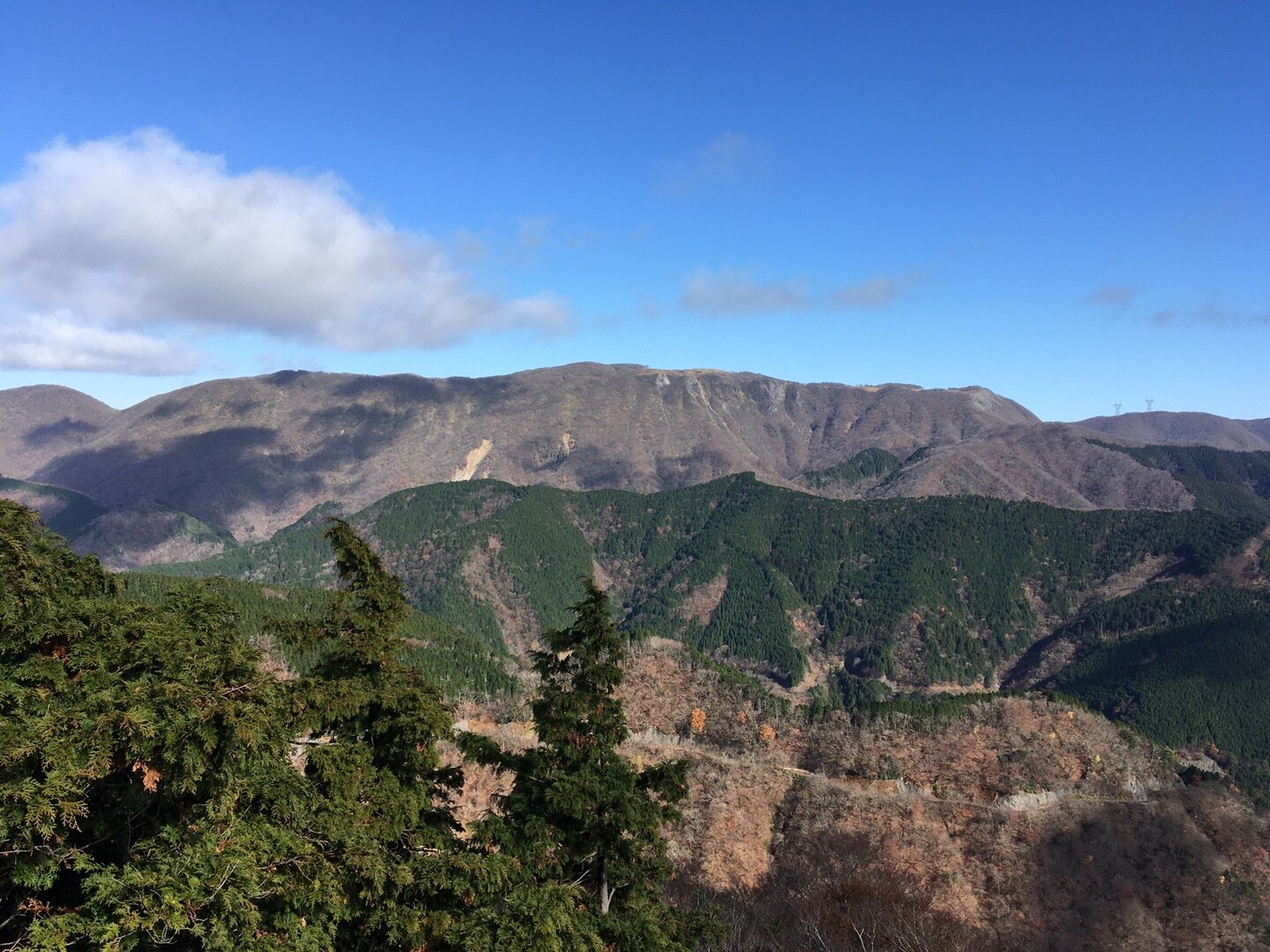 日本コバ(934.2m) 天狗堂(988m)・縦走 / yosiさんの日本コバの活動データ | YAMAP / ヤマップ