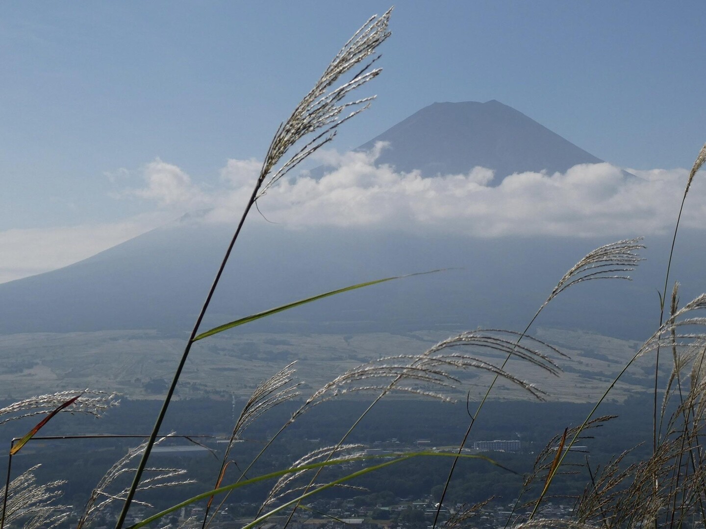 高座山 / skipさんの富士山の活動データ | YAMAP / ヤマップ