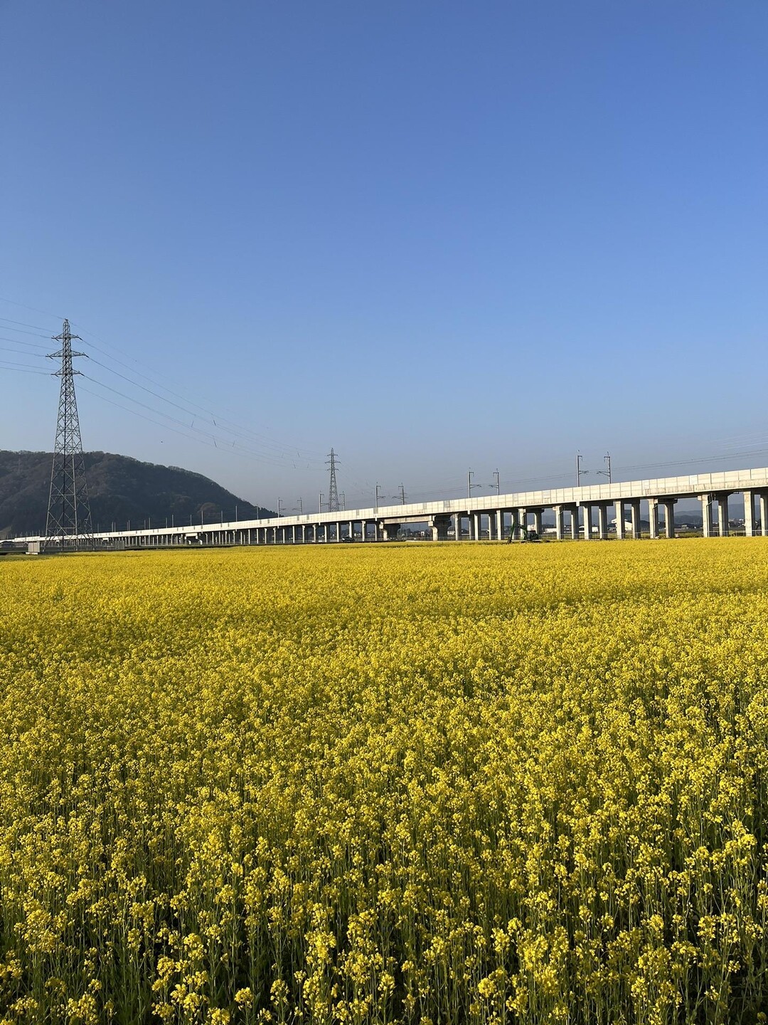 春の里山petitトレイル(弁財天山・磯部裏山・広野山・丹波岳・文殊山・文殊山（奥の院）・橋立山) / たけかおりさんの文殊山の活動データ | YAMAP / ヤマップ