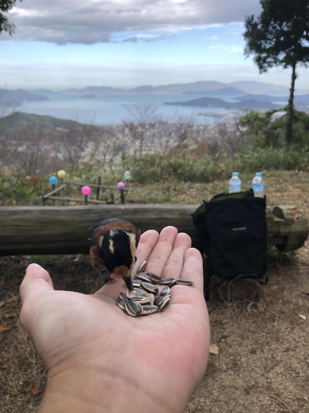 雲附山 / shu_oさんの雲附山・熊高山・五瀬山の活動データ | YAMAP / ヤマップ