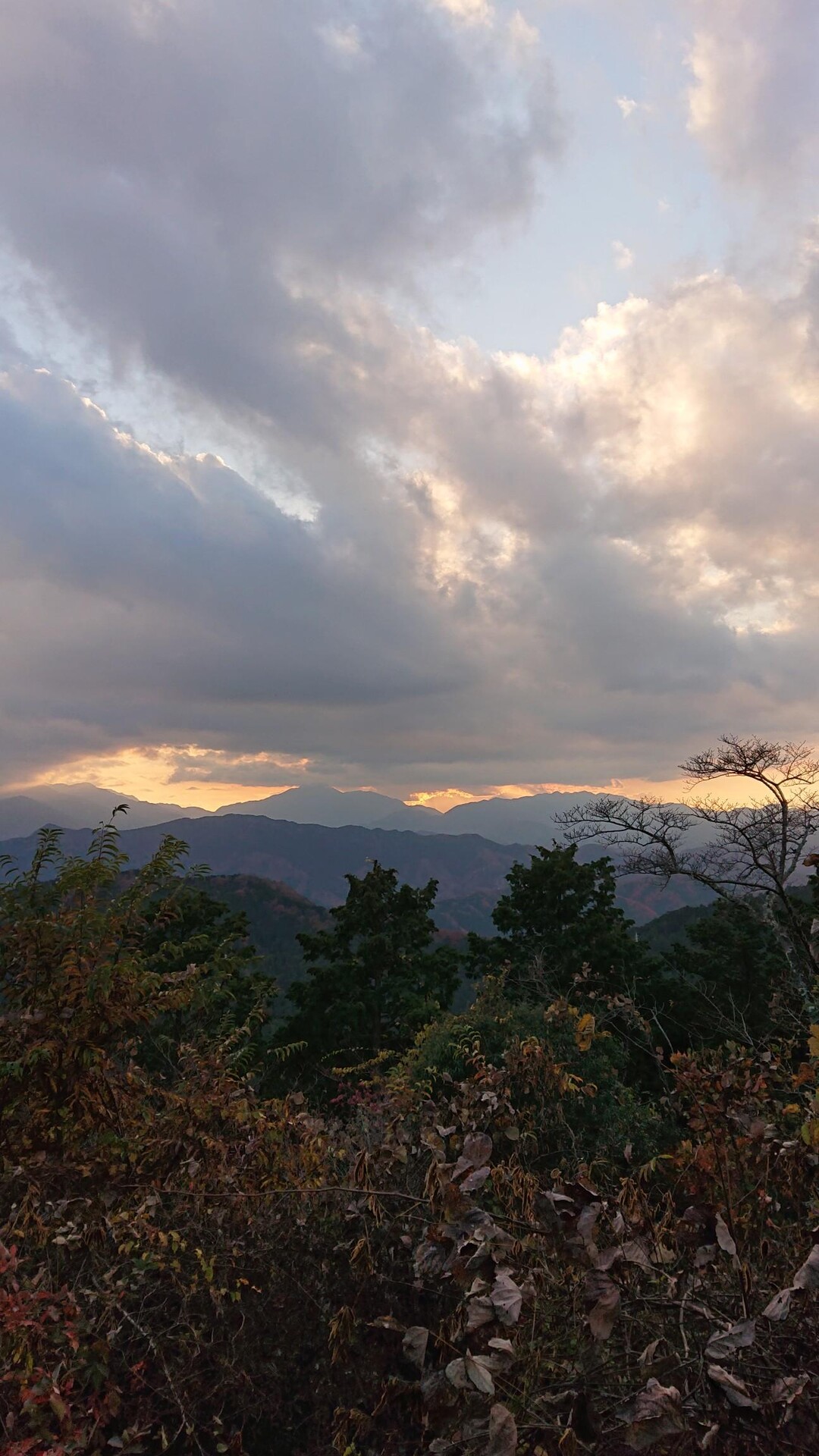 高尾山1号路↑↓ / aoさんの高尾山・陣馬山・景信山の活動データ | YAMAP / ヤマップ