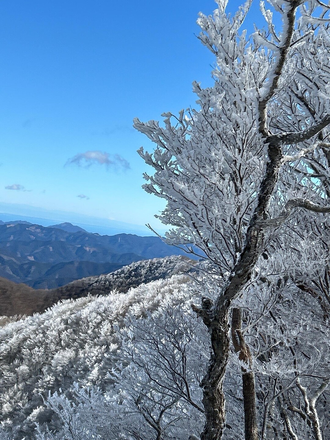 三峰山 霧氷祭り / yumi minさんの三峰山・学能堂山・栗ノ木岳の活動データ | YAMAP / ヤマップ