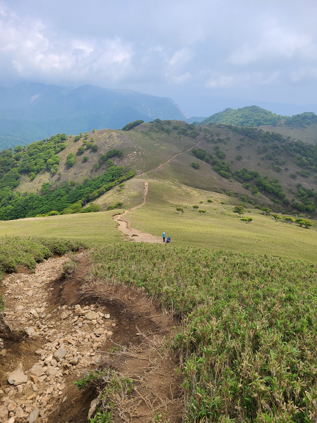 竜ヶ岳(鈴鹿) 遠足尾根 金山尾根 / tatubaiさんの竜ヶ岳の活動データ | YAMAP / ヤマップ