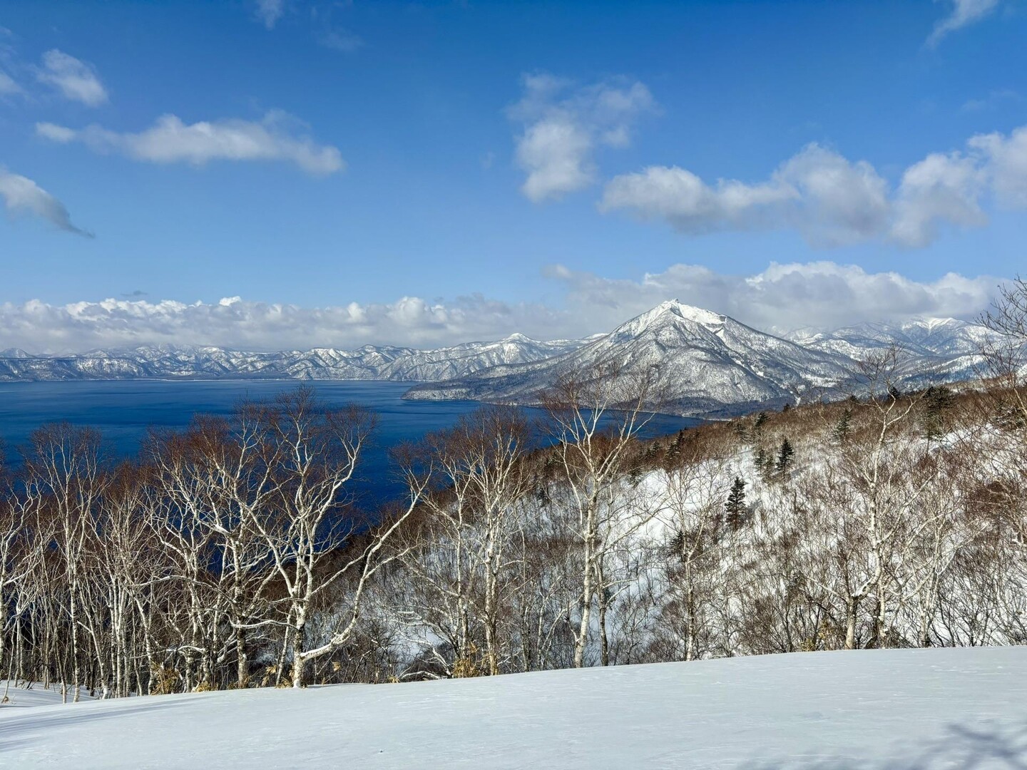 紋別岳 / KANさんの紋別岳の活動データ | YAMAP / ヤマップ