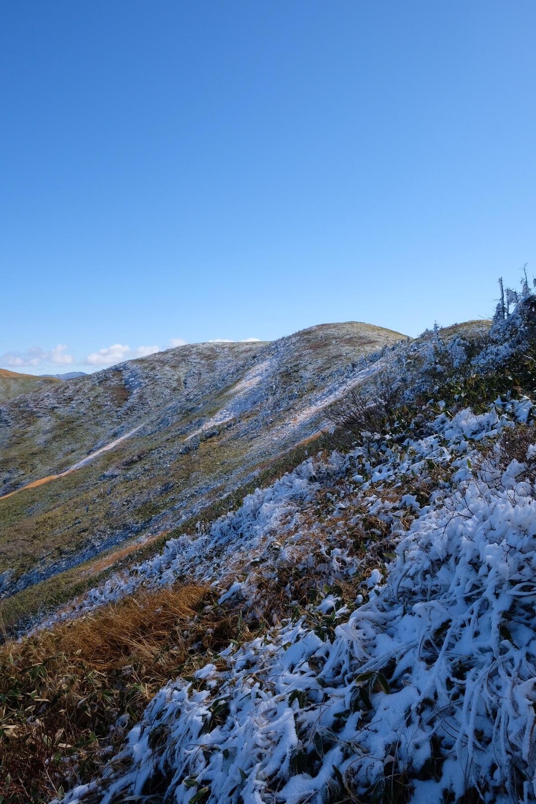 巻機山(2022.10.31) 五合目〜... / Yumaさんのモーメント | YAMAP / ヤマップ