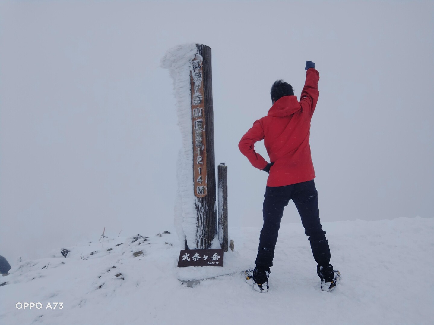 やっぱり比良にもねっ🤗〜40年ぶり武奈ヶ岳⛰️w/tスノーシュー👟 / denaliさんの比良山地・武奈ヶ岳・釈迦岳の活動データ | YAMAP / ヤマップ