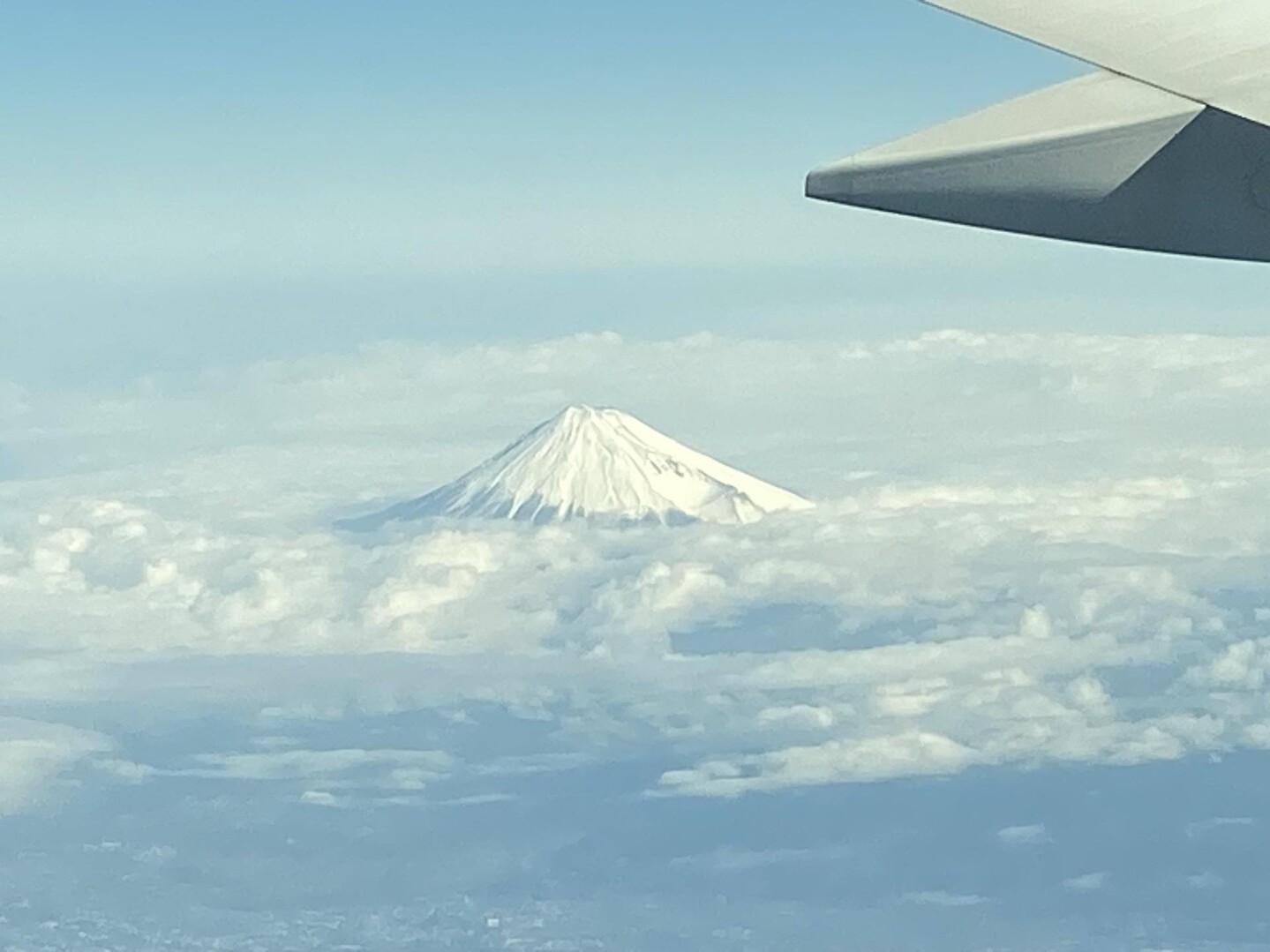 伊勢神宮＆花の窟他 地酒と地ビール🍶... / Michiyoさんのモーメント | YAMAP / ヤマップ