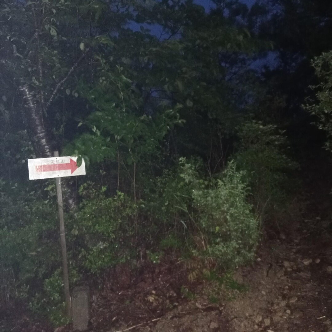 NTNさんの投稿したフィールドメモ | YAMAP / ヤマップ