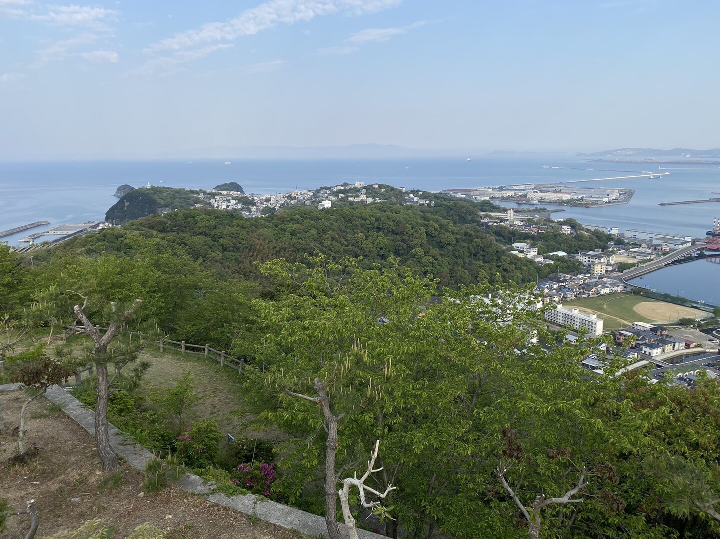 おはよう☀️新緑にツツジ🌸😍 / かよママさんのモーメント | YAMAP / ヤマップ