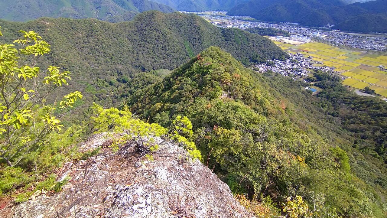 亀山・祇園岳 / LIONさんの亀山・鶏籠山・的場山の活動データ | YAMAP / ヤマップ