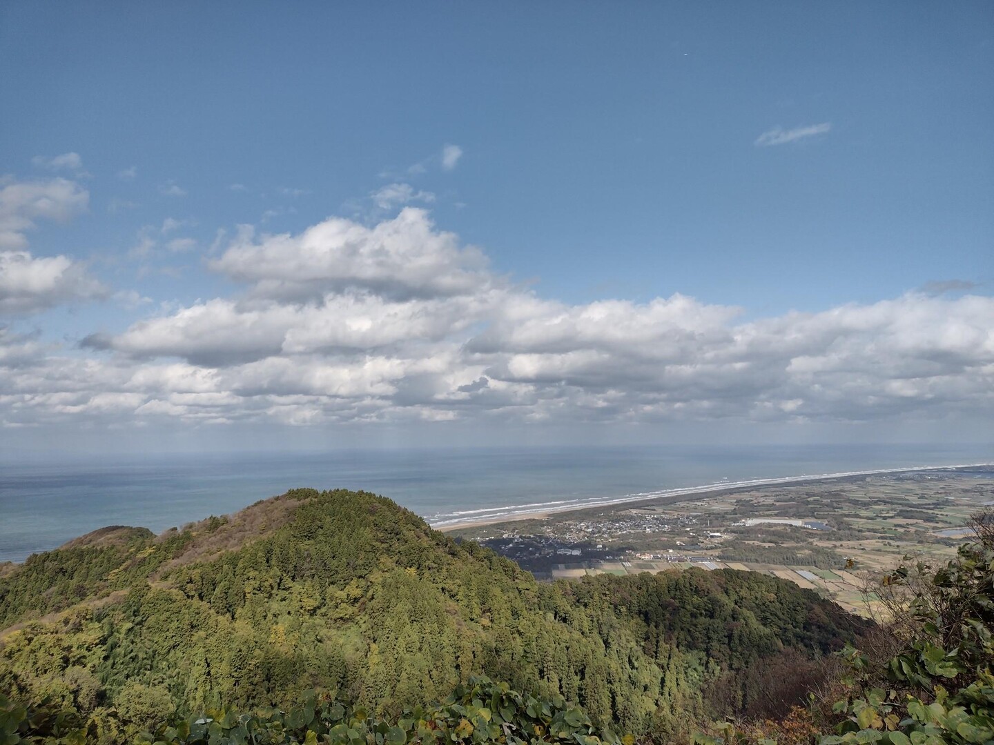 角田山（長者原山） / Andrewさんの角田山の活動データ | YAMAP / ヤマップ