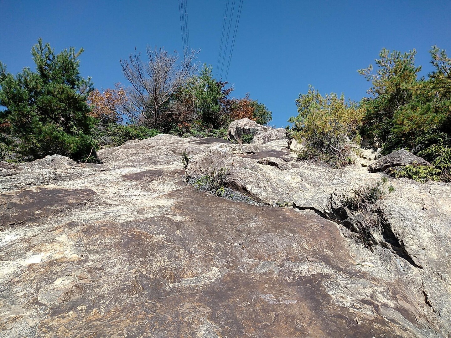 宝塚ロックガーデン～中山連山 / Yuuさんの中山・大峰山の活動データ | YAMAP / ヤマップ