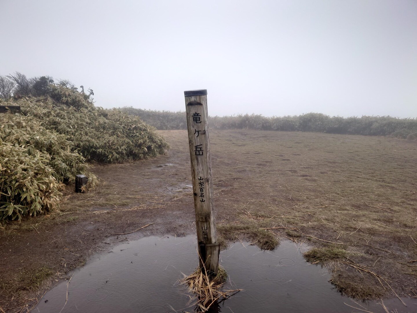 竜ヶ岳6km / きんちゃんさんの毛無山・雨ヶ岳・竜ヶ岳の活動データ | YAMAP / ヤマップ