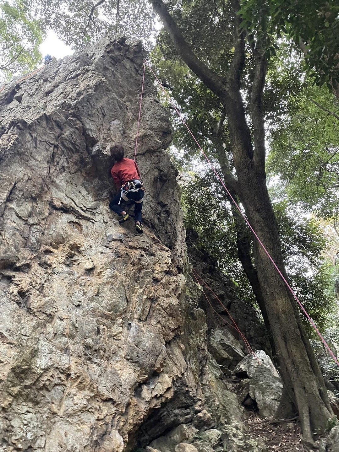 ホームの岩場 みんなでワイワイ基礎練習 ... / naruさんのモーメント | YAMAP / ヤマップ