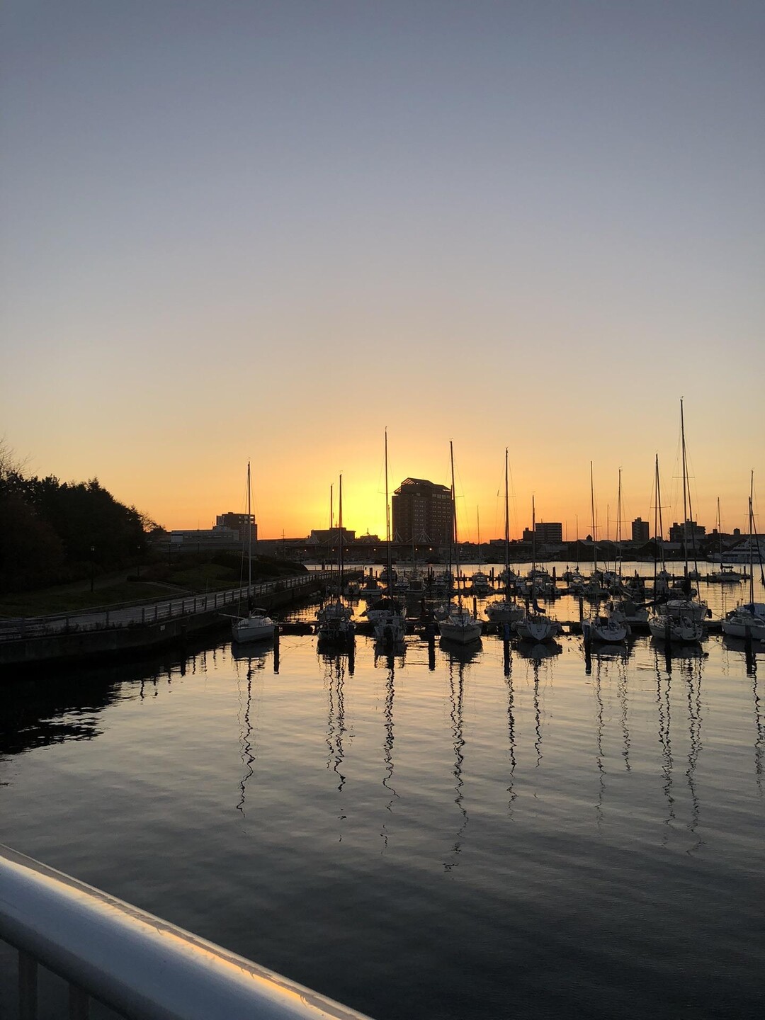 函館山-2023-11-05 / naoさんの函館山の活動データ | YAMAP / ヤマップ