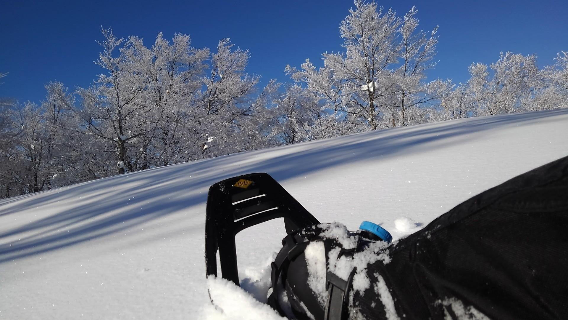 R5の四 素晴らしい荒島岳 / nob3さんの荒島岳の活動データ | YAMAP / ヤマップ