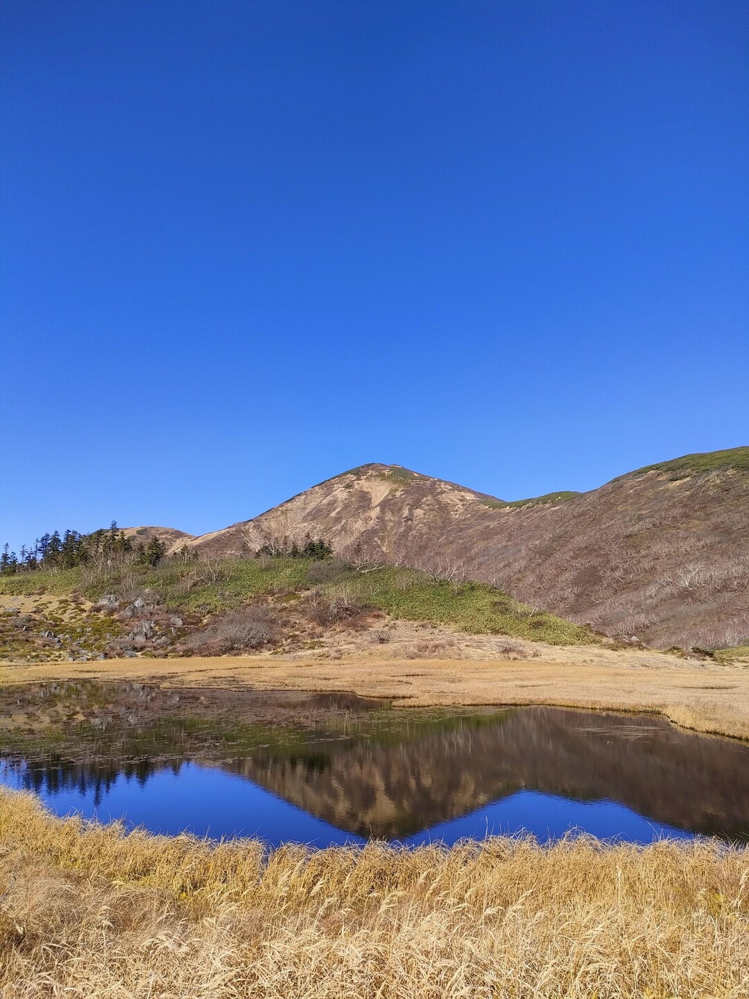 火打山 / 山歩 JKさんの妙高山・火打山の活動データ | YAMAP / ヤマップ