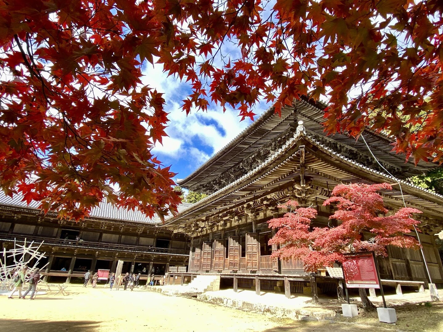 書写山 / yumiさんの書写山・伊勢山・とんがり山の活動データ | YAMAP / ヤマップ