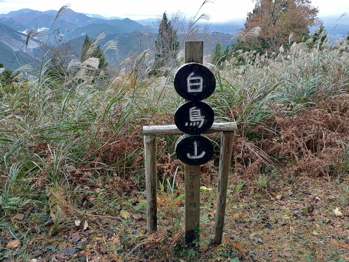 白鳥山～お手軽過ぎる山梨百名山～ / ankamoさんの白鳥山の活動データ | YAMAP / ヤマップ