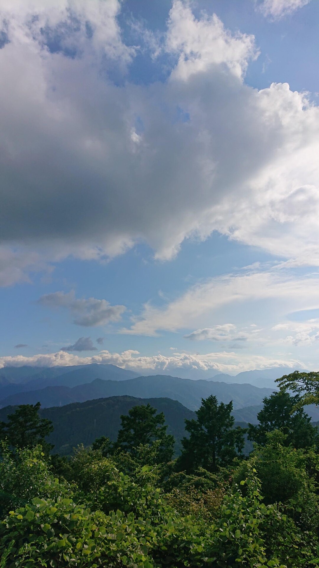 高尾山1号路↑↓ / aoさんの高尾山・陣馬山・景信山の活動データ | YAMAP / ヤマップ