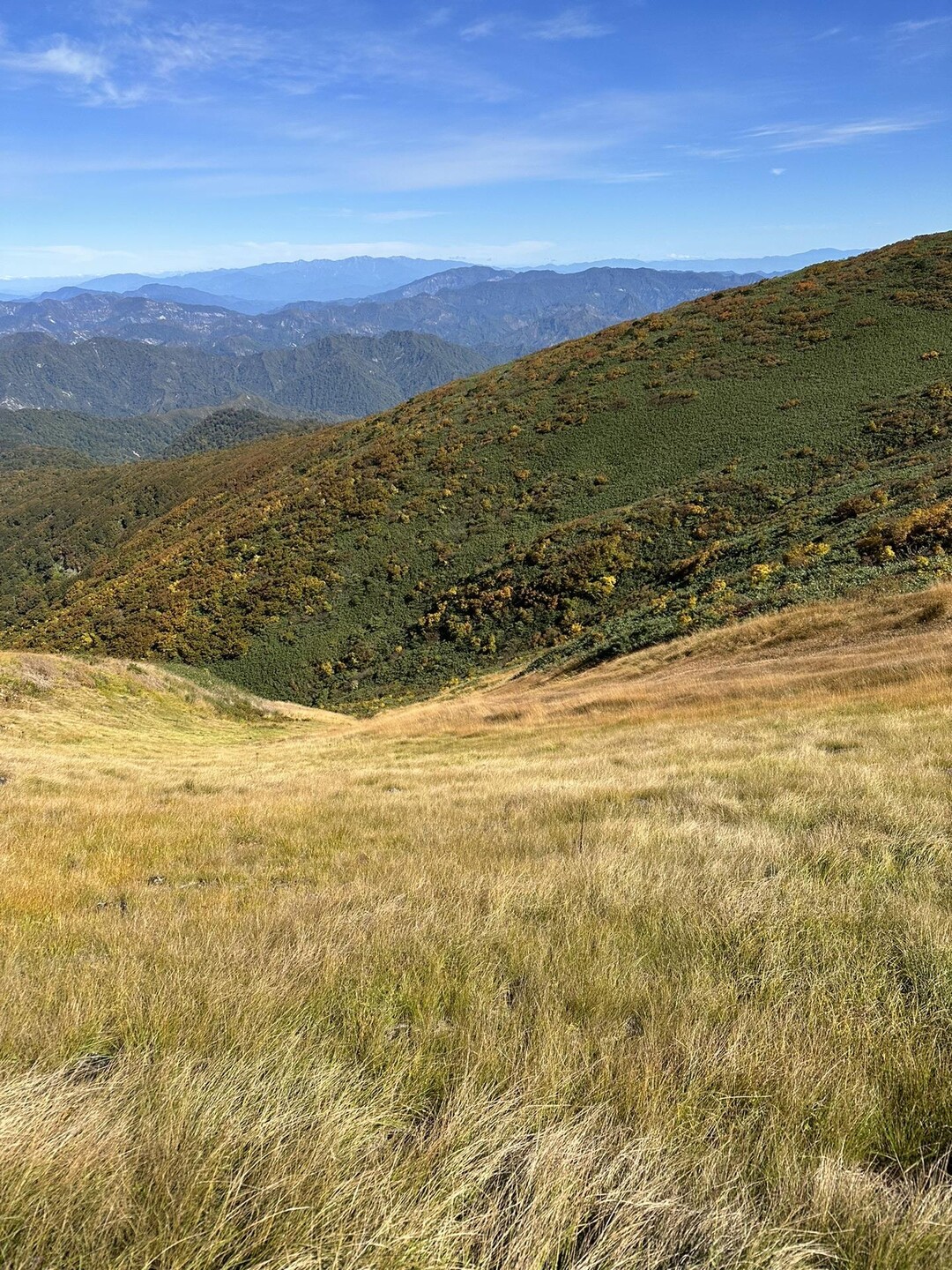 浅草岳 / emiさんの浅草岳・鬼ヶ面山の活動データ | YAMAP / ヤマップ