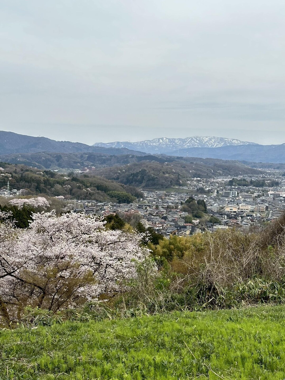 お散歩🐰🐲卯辰山 / komariさんの卯辰山の活動データ | YAMAP / ヤマップ
