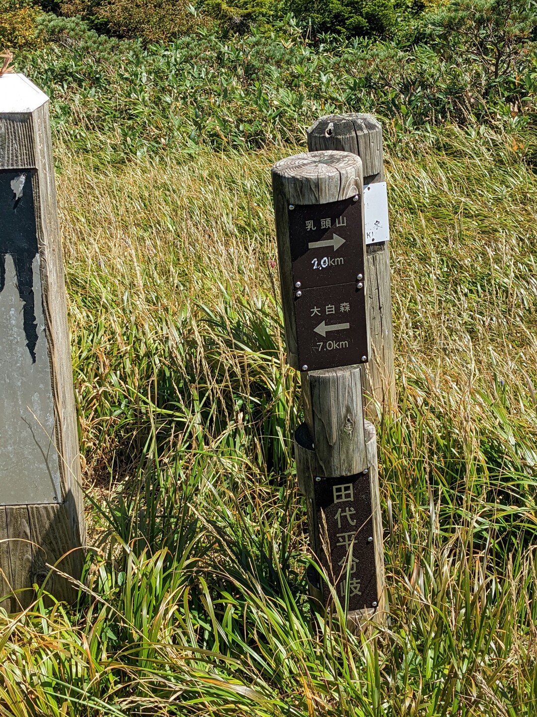 2022.09.10(土) 02:37 / 山田さんのモーメント | YAMAP / ヤマップ