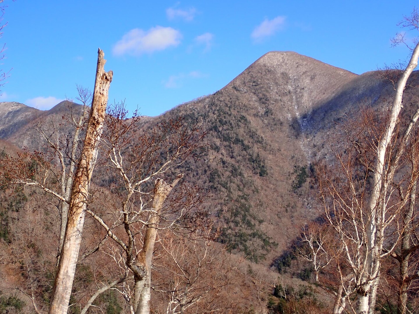 オキシマップ山・ルチシ山 / toto🎶さんのアポイ岳の活動日記 | YAMAP / ヤマップ