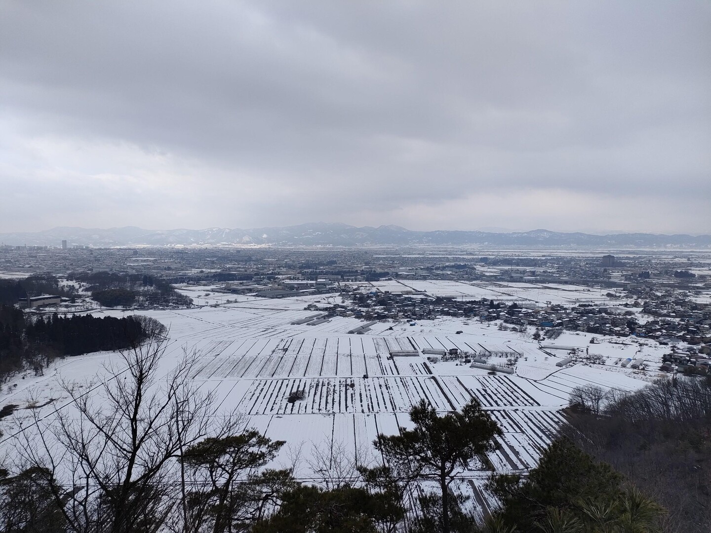 大岡山・小菰石山 / bluesさんの大岡山・小菰石山の活動データ | YAMAP / ヤマップ