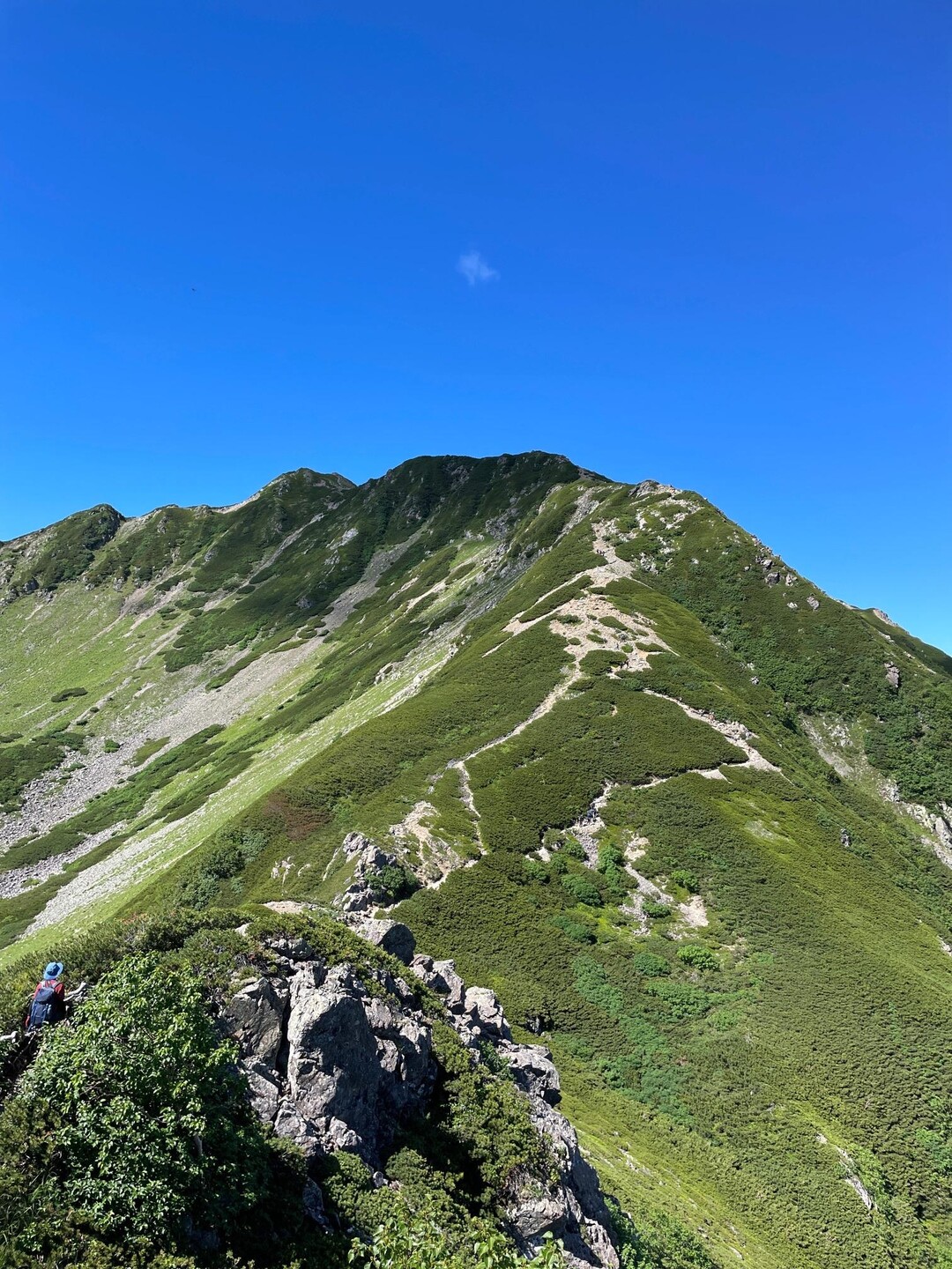 仙丈ヶ岳と甲斐駒ヶ岳 / Natsuさんの仙丈ヶ岳・伊那荒倉岳の活動データ | YAMAP / ヤマップ