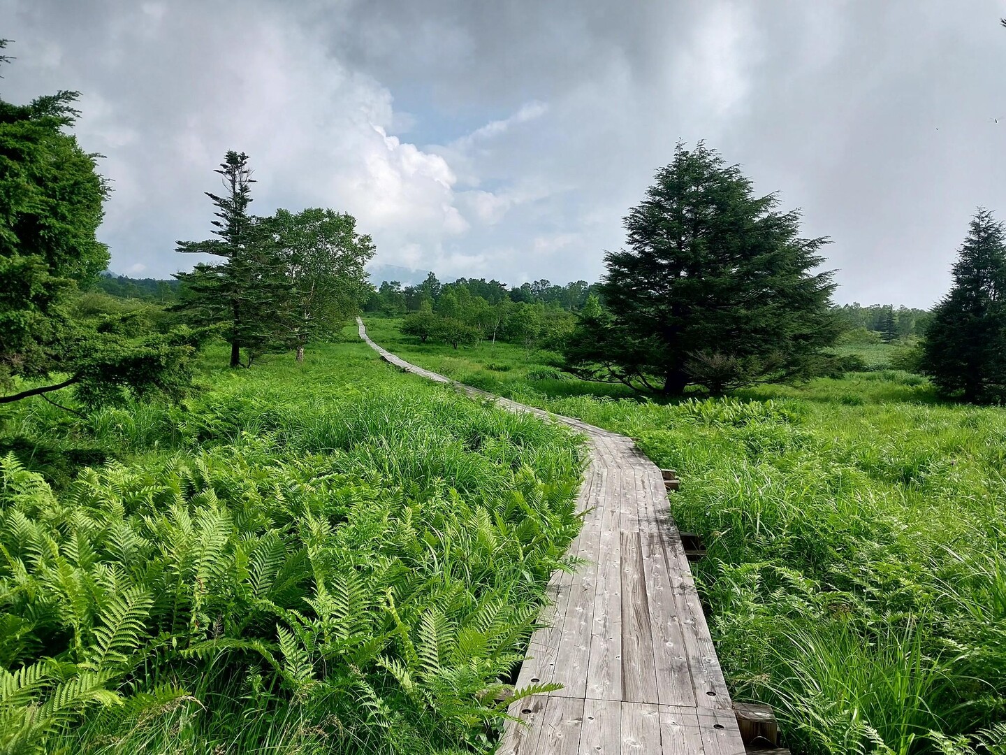RW組以外スライド無しクマ鈴全開😅 / るぅ～さんの四阿山・根子岳の活動データ | YAMAP / ヤマップ