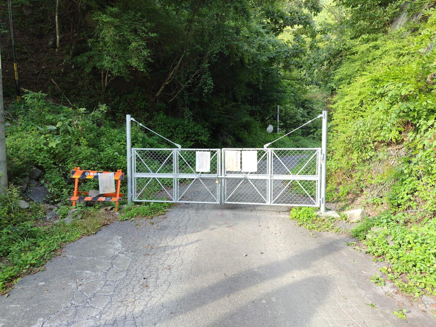 芝沢ゲートから易老度・西沢渡まで / CB-Genさんの聖岳・大沢岳・光岳の活動データ | YAMAP / ヤマップ