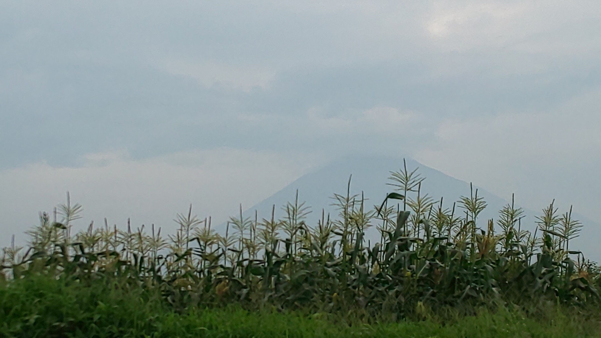 2022.07.02(土) 21:15 / なおさんのモーメント | YAMAP / ヤマップ