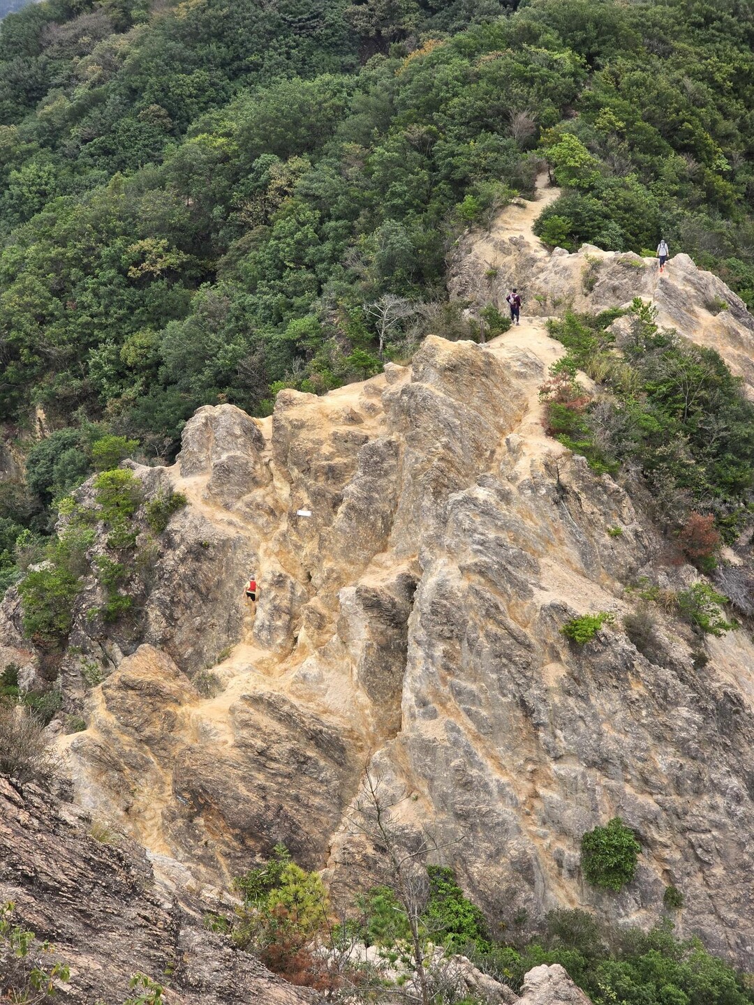 下見の須磨アルプス / KEIさんの六甲山・長峰山・摩耶山の活動データ | YAMAP / ヤマップ