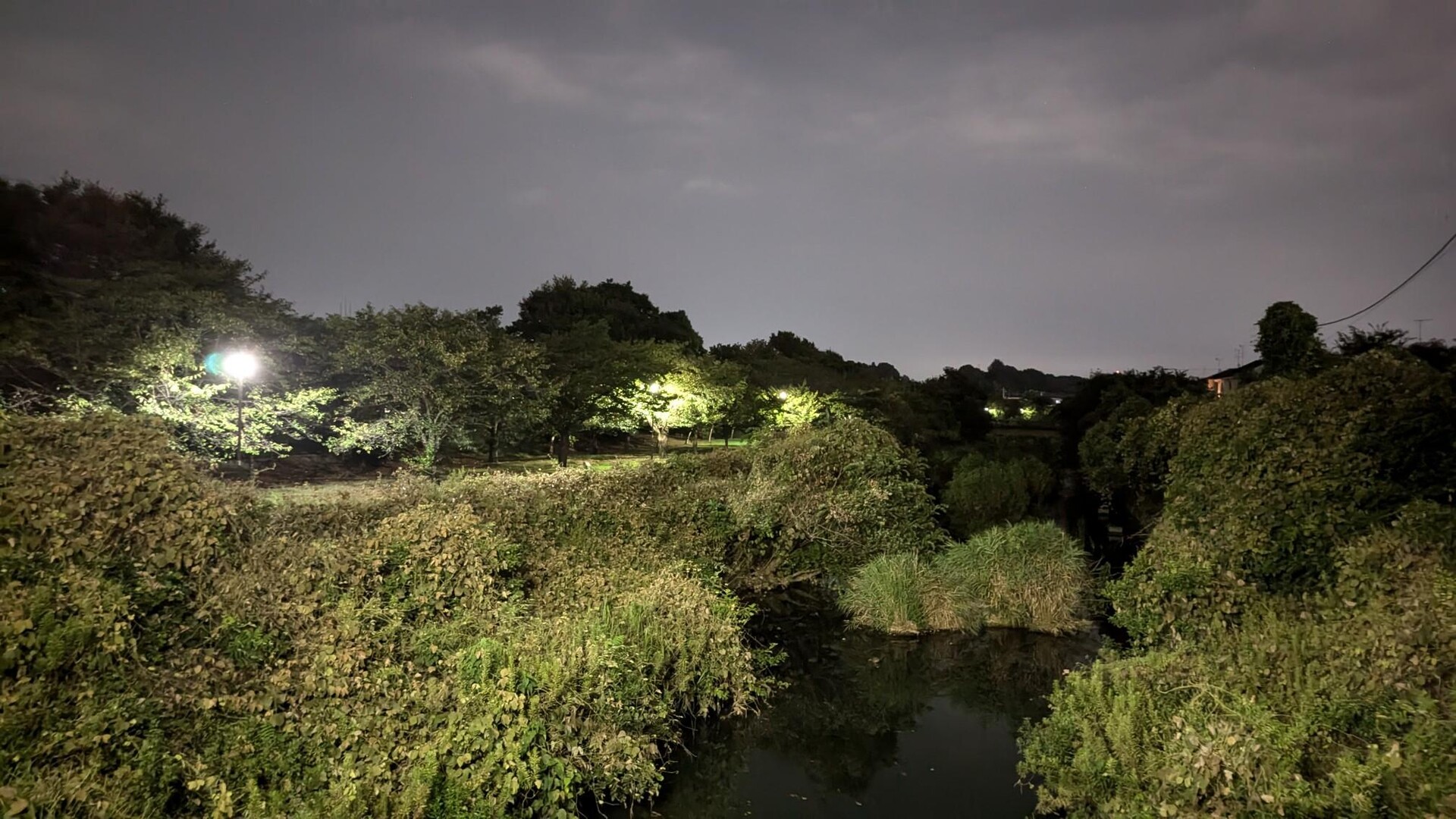 手賀沼ランニング-2024-08-18 / TK54さんのランニングの活動データ | YAMAP / ヤマップ